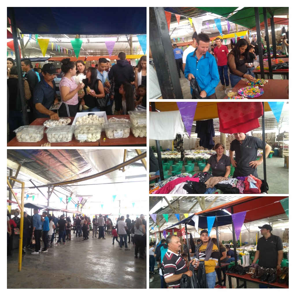 About Us - Uniflor S.A.S.